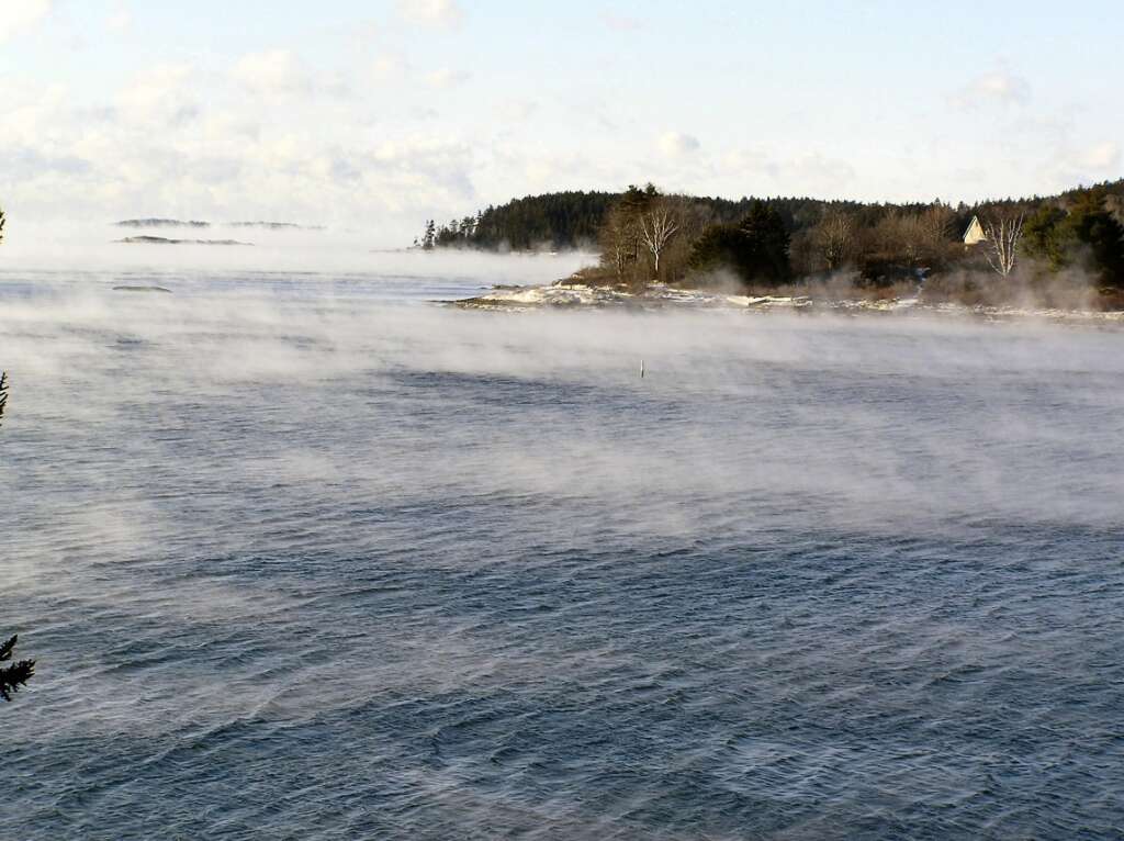 The Case of Yael by Louis Breger, Ph.D. | Library of Professional ...