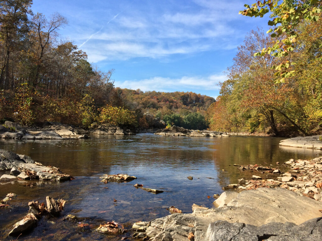 Jan Boxer.32221 | Library of Professional Psychology